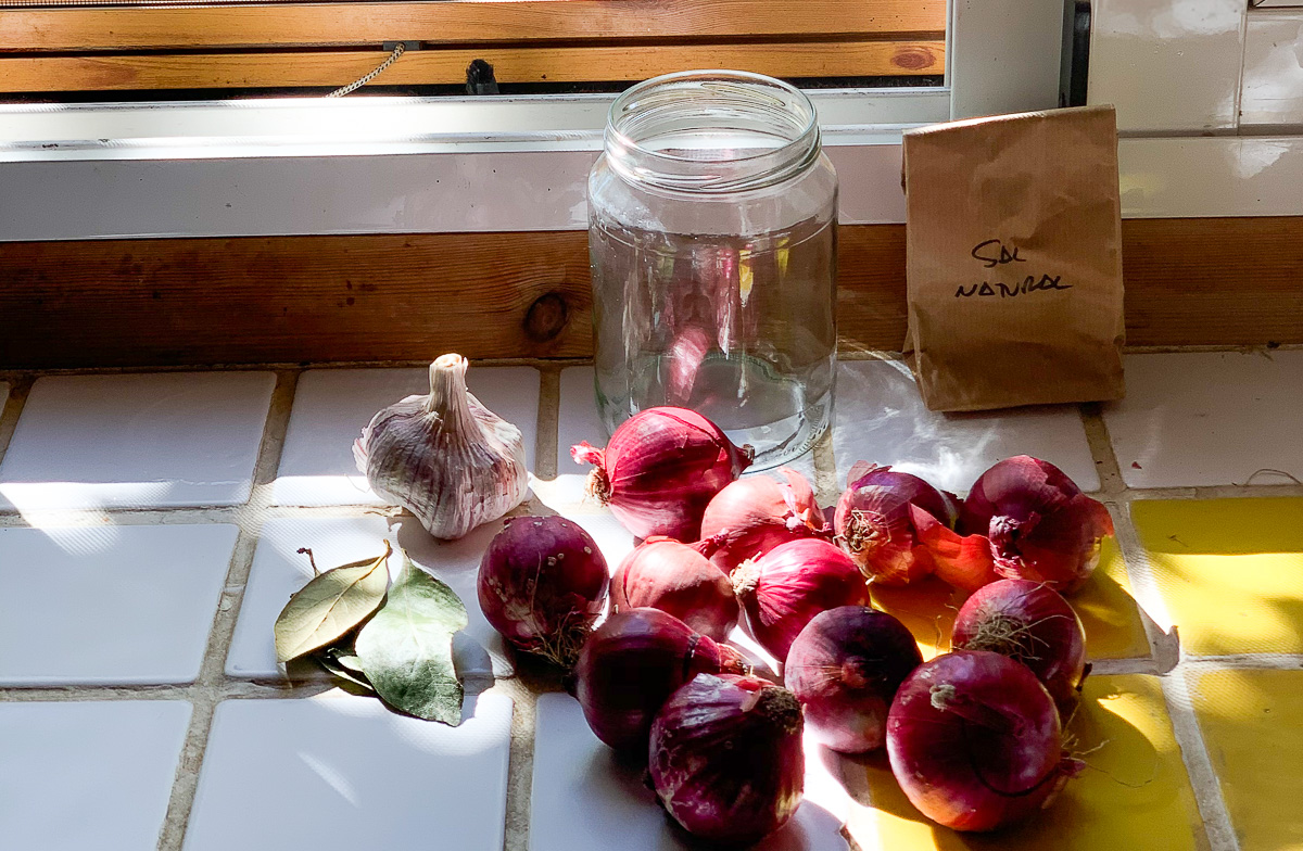 Cómo hacer cebollas fermentadas | Sra. Kraut